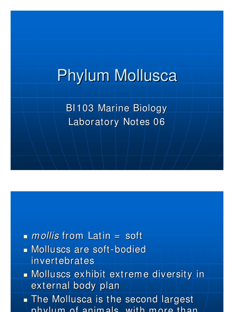 BI103 Lab 06 - Phylum Mollusca | PDF | Mollusca | Bivalvia