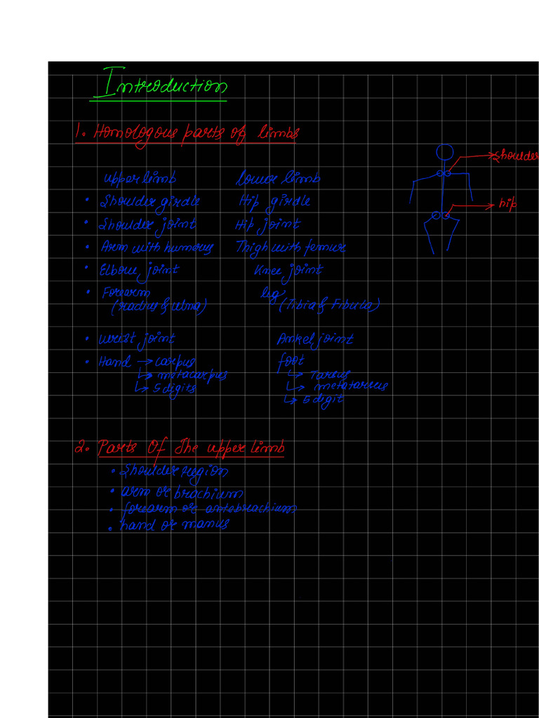 Anatomy of the Upper Limb and Hand | PDF | Skeletal System | Anatomy