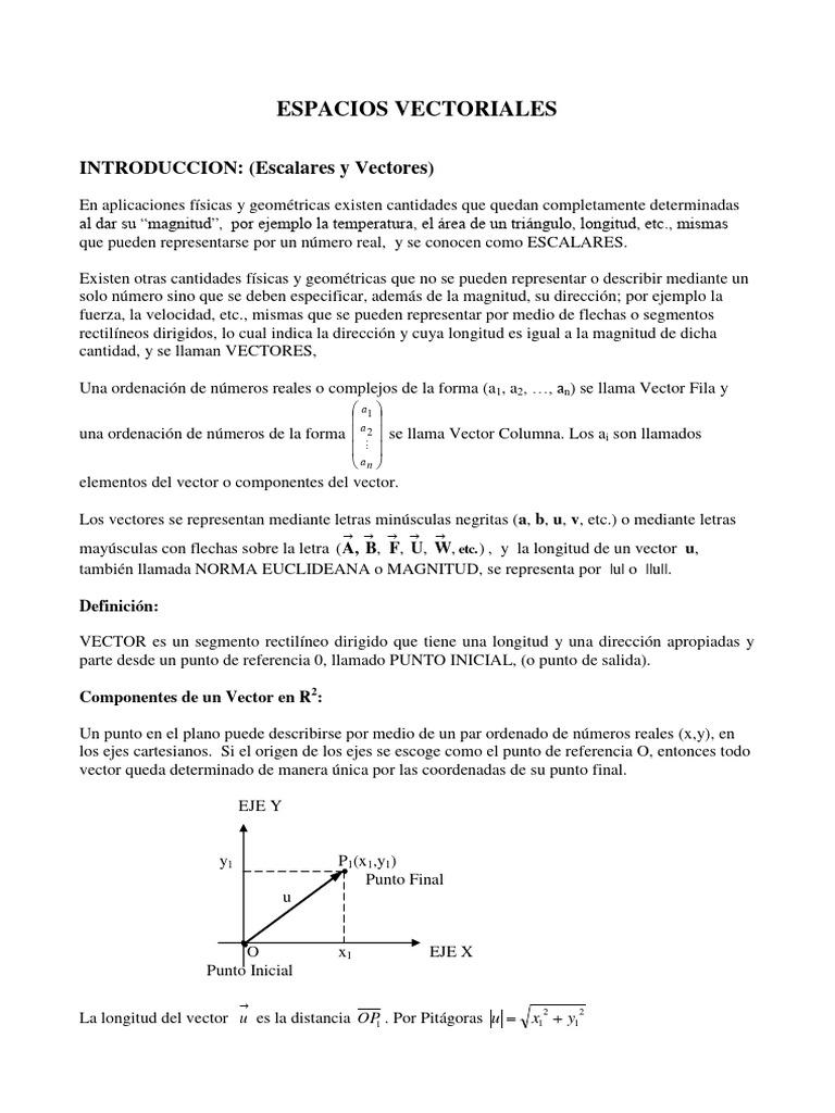 Espacios Vectoriales | Descargar gratis PDF | Vector Euclidiano | Espacio vectorial