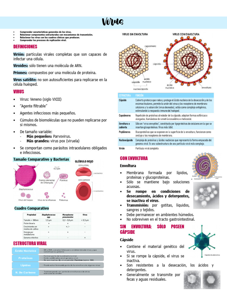 Clase 4 Virus - Hongos | PDF | Virus | Hongo