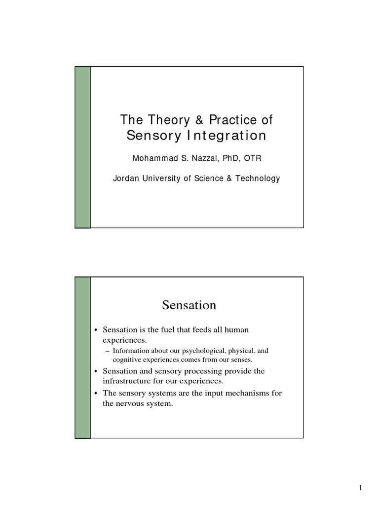Sensory Integration | PDF | Senses | Sensory Processing Disorder
