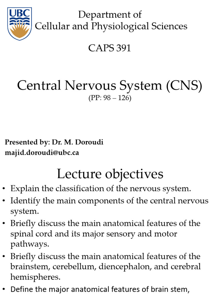 Department of Cellular and Physiological Sciences: Central Nervous System (CNS) | PDF | Central ...