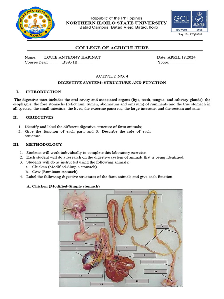 An. Sci. 121 Activity 4 Submitted by Hapinat Louie Anthony | Download Free PDF | Digestion ...