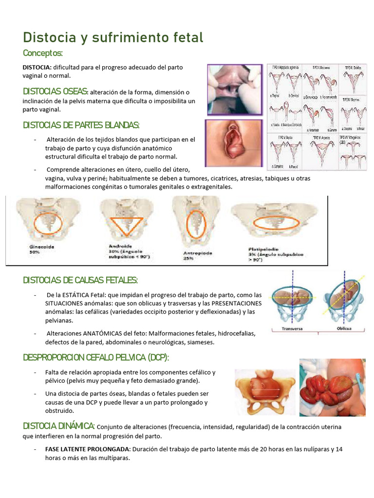Aula 3 Distocia y Sufrimiento Fetal Resumen | PDF | Parto | Placenta