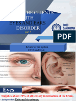 Sheep Eye Dissection Guide | PDF | Eye | Senses