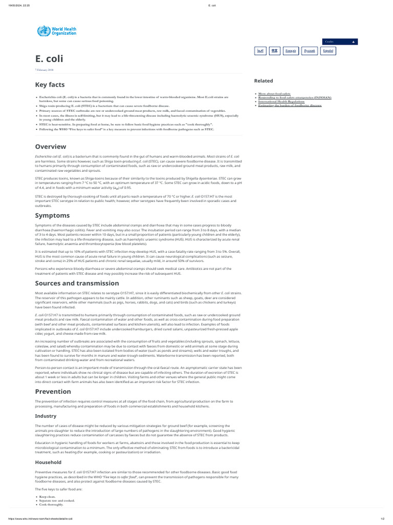 WHO - E. Coli. FactSHeetpdf | PDF | Foodborne Illness | Escherichia Coli