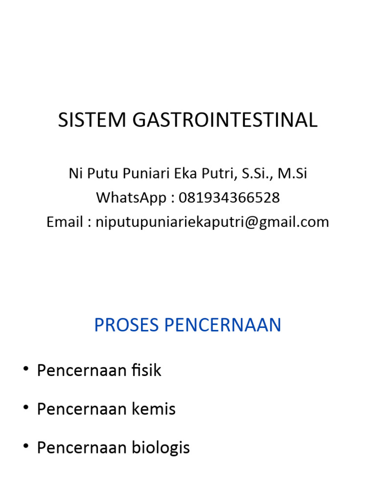 Sistem Gastrointestinal | PDF | Memasak, Makanan, & Anggur
