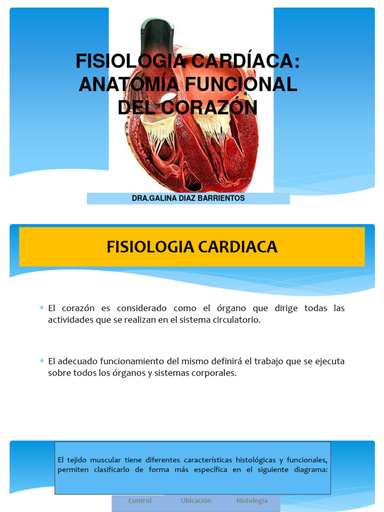 Semana3 Ufr - Fisio - Humana - Anatomía Funcional Del Corazón 2024-1 ...