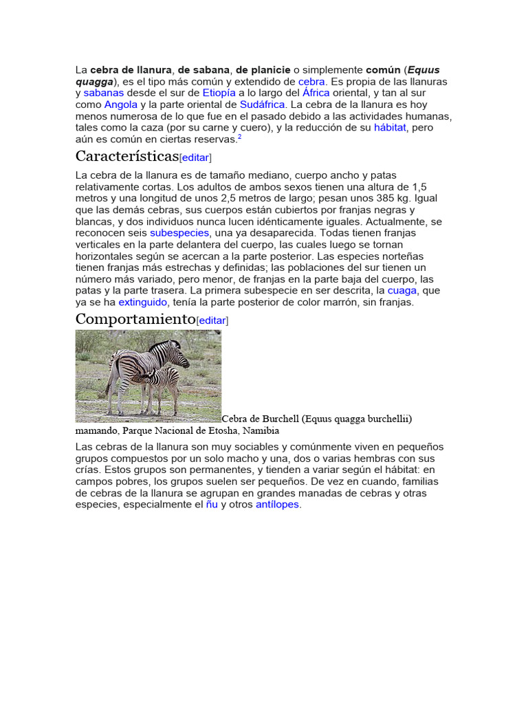 Cebra Comun | PDF