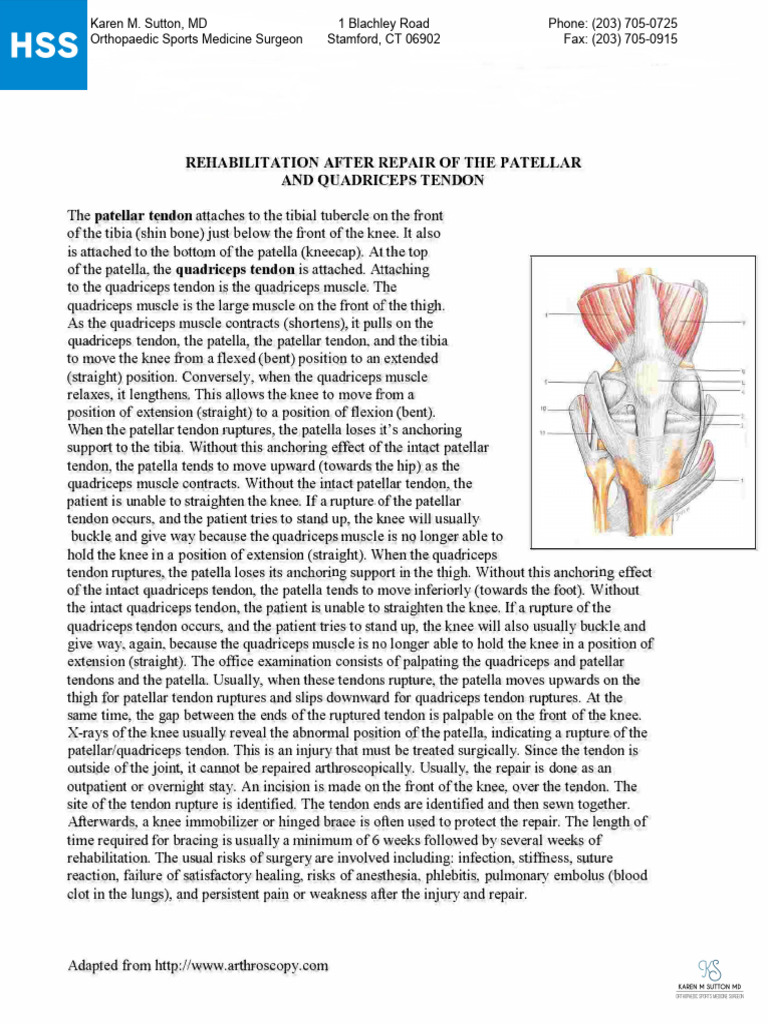 Quadriceps Patellar Tendon Repair Rehabilitation | PDF | Knee ...