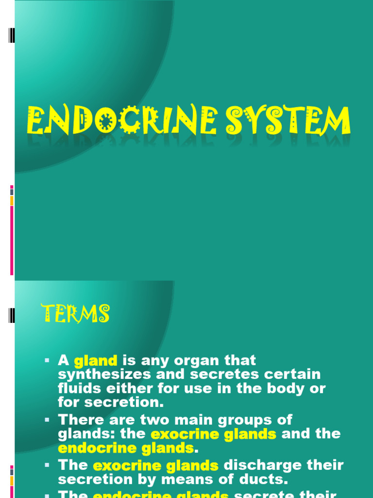 Topic 11. Endocrine System | PDF | Endocrine System | Ovary