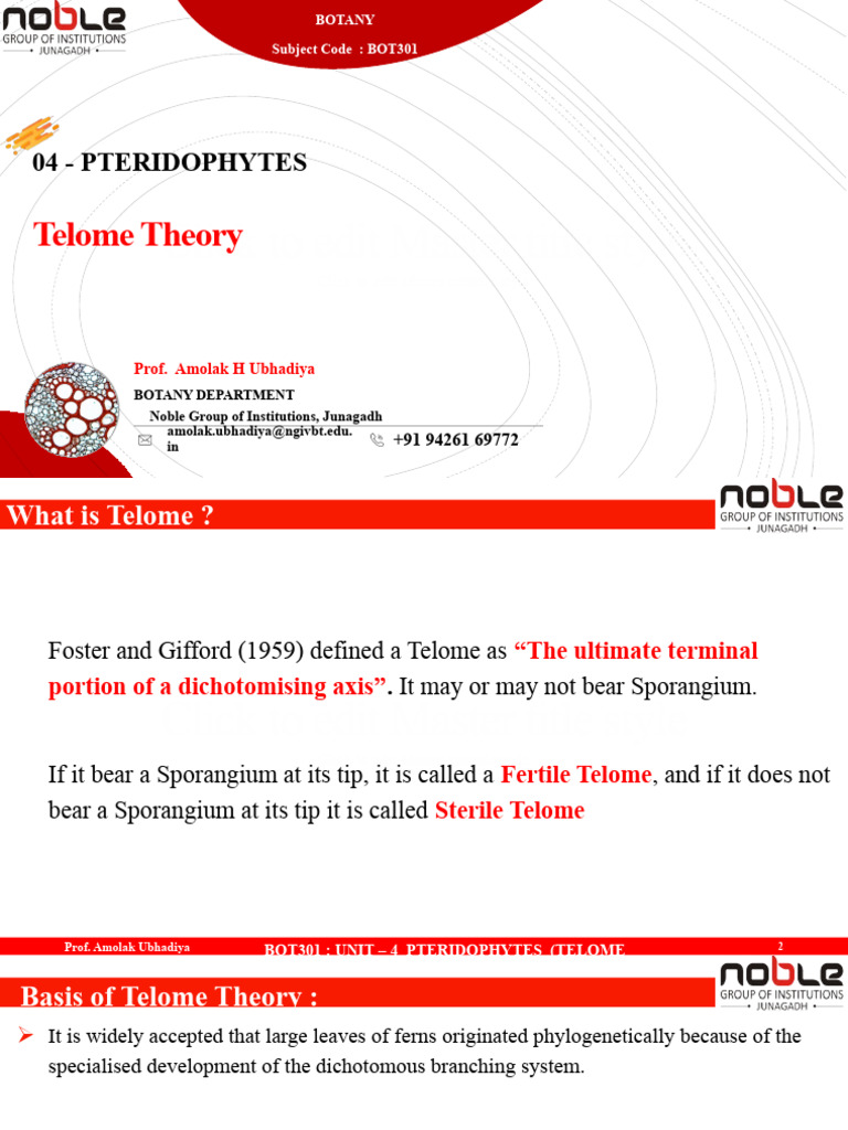 Telome Theory One of The Best Topic of Botany | PDF | Leaf | Plant ...