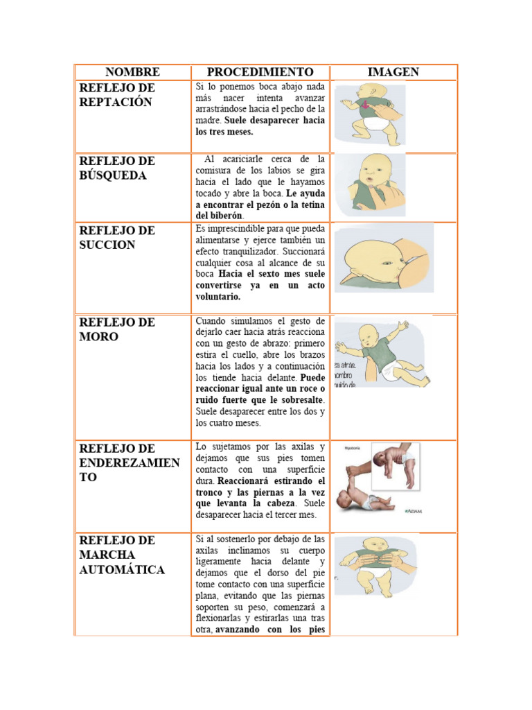 arcos reflejos | PDF | Pie