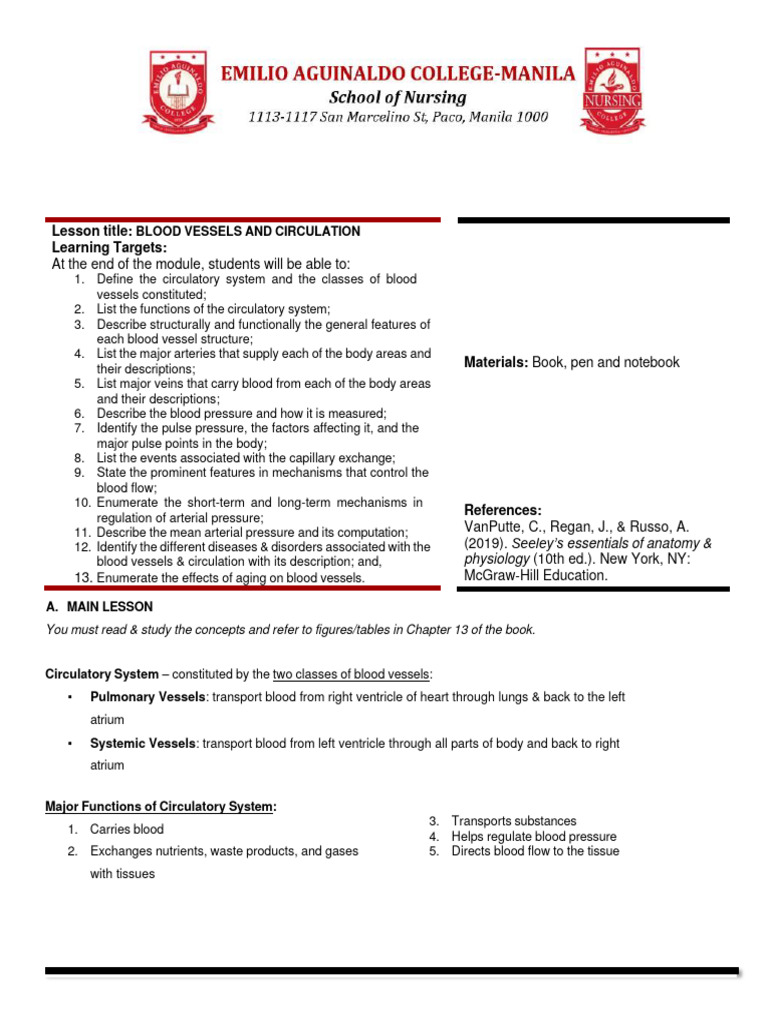 Blood Vessels Circulation | PDF | Vein | Blood Vessel