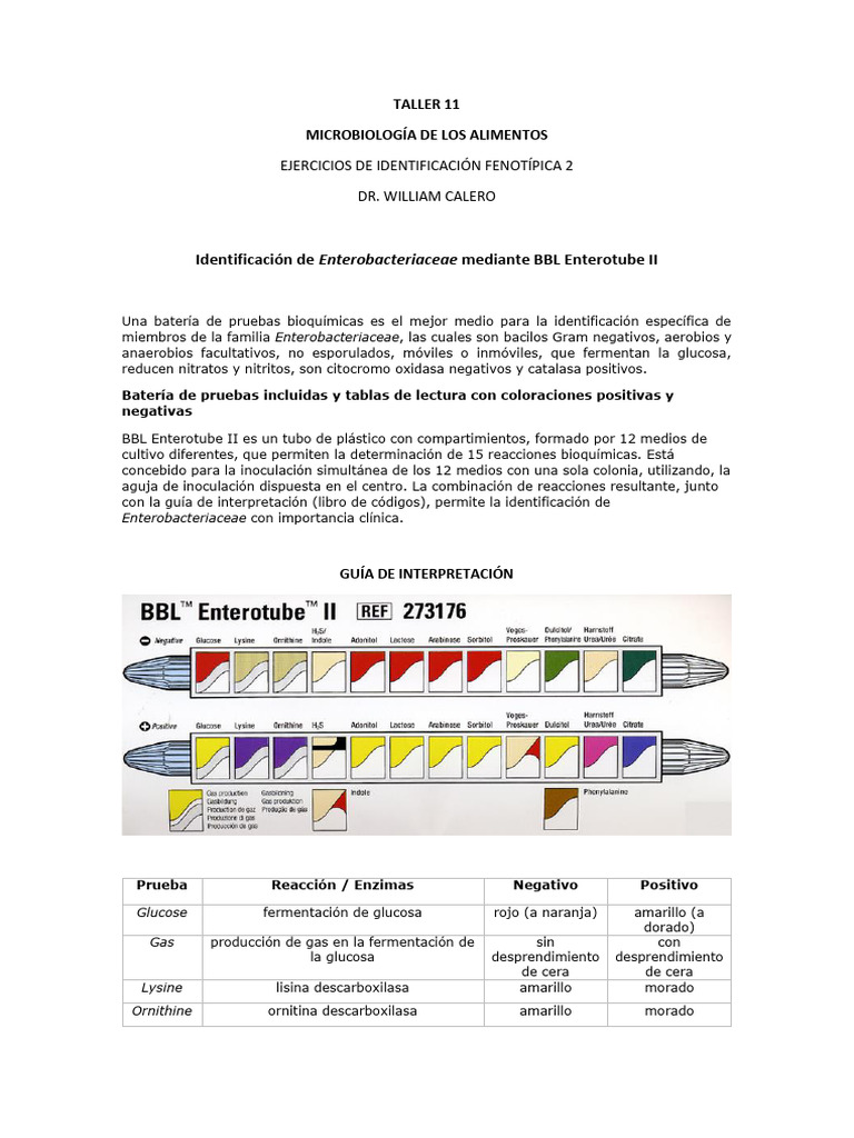 Identificación de Enterobacteriae | PDF | Color