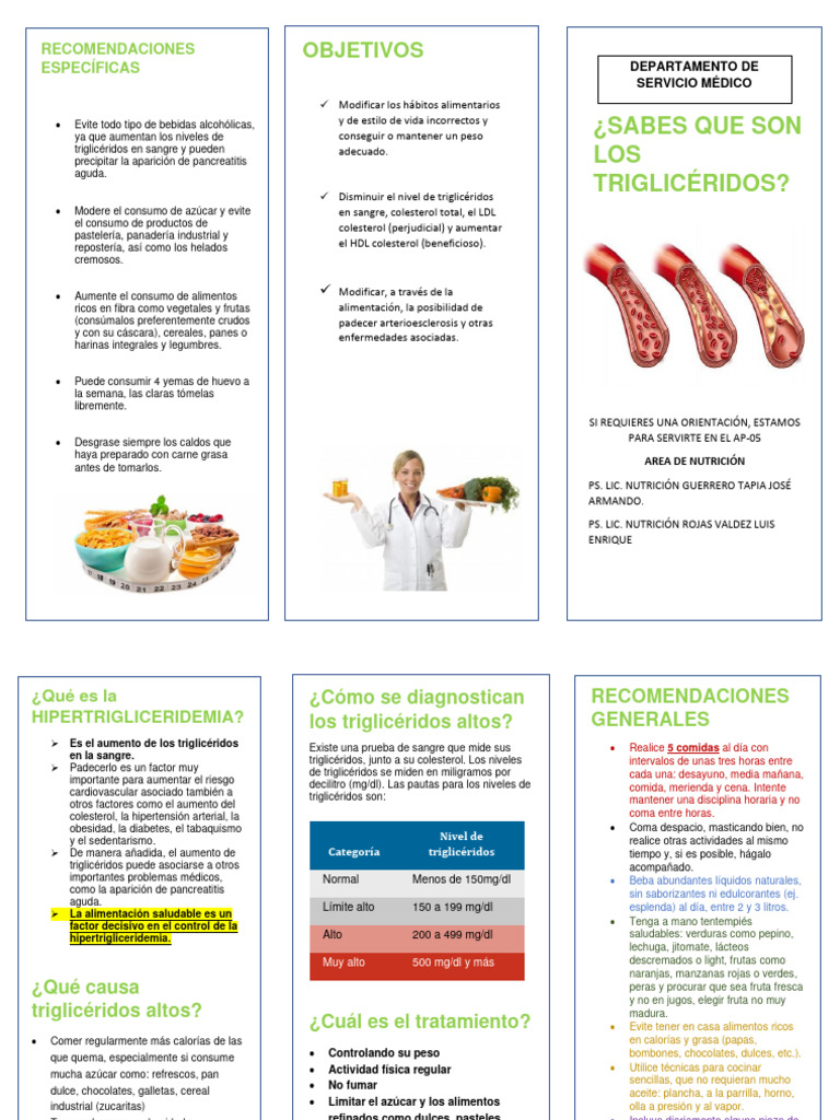 Triptico de Hipertrigliceridemia | PDF | Triglicéridos | Fruta