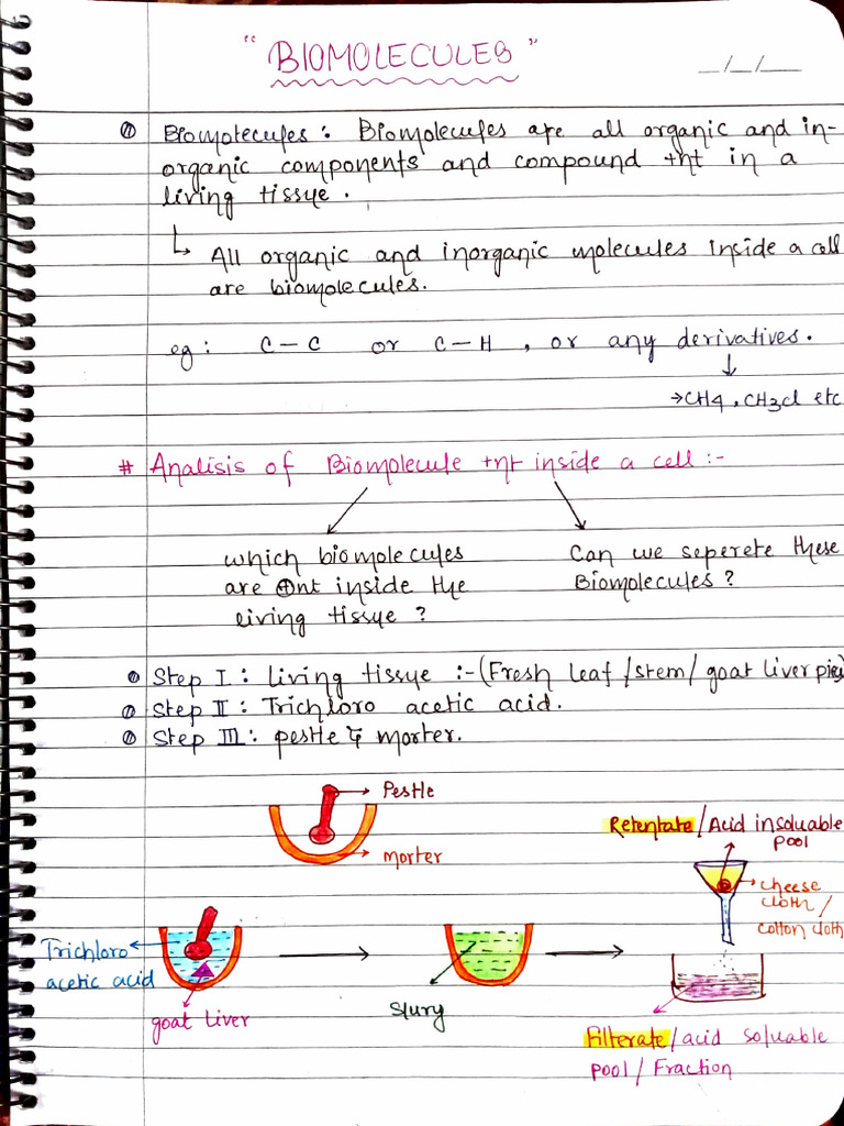 BIOMOLECULES Handwritten Notes | PDF