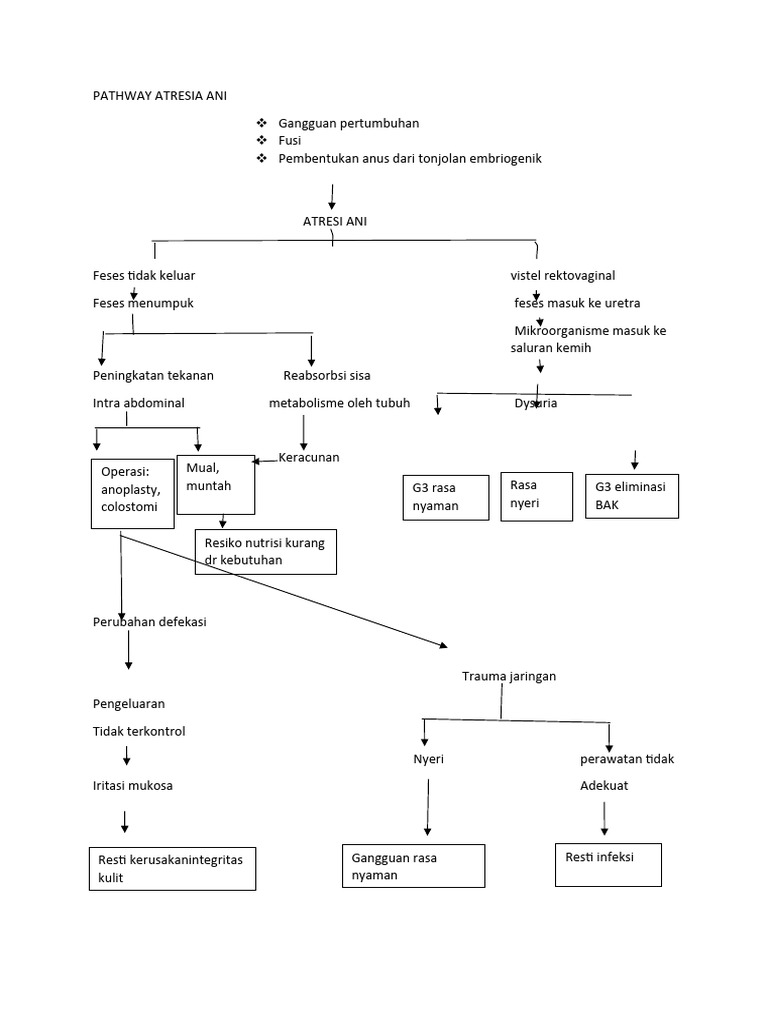 Pathway Atresia Ani Anak | PDF