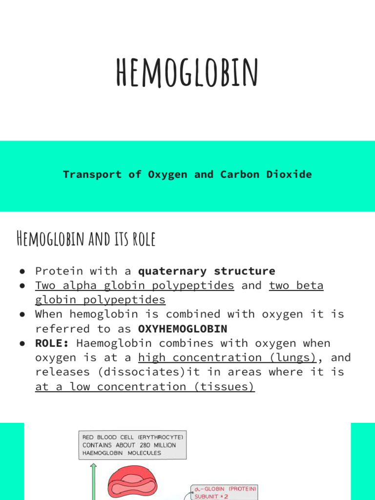 Hemoglobin - Oxygen and Carbon Dioxide | PDF | Hemoglobin | Red Blood Cell