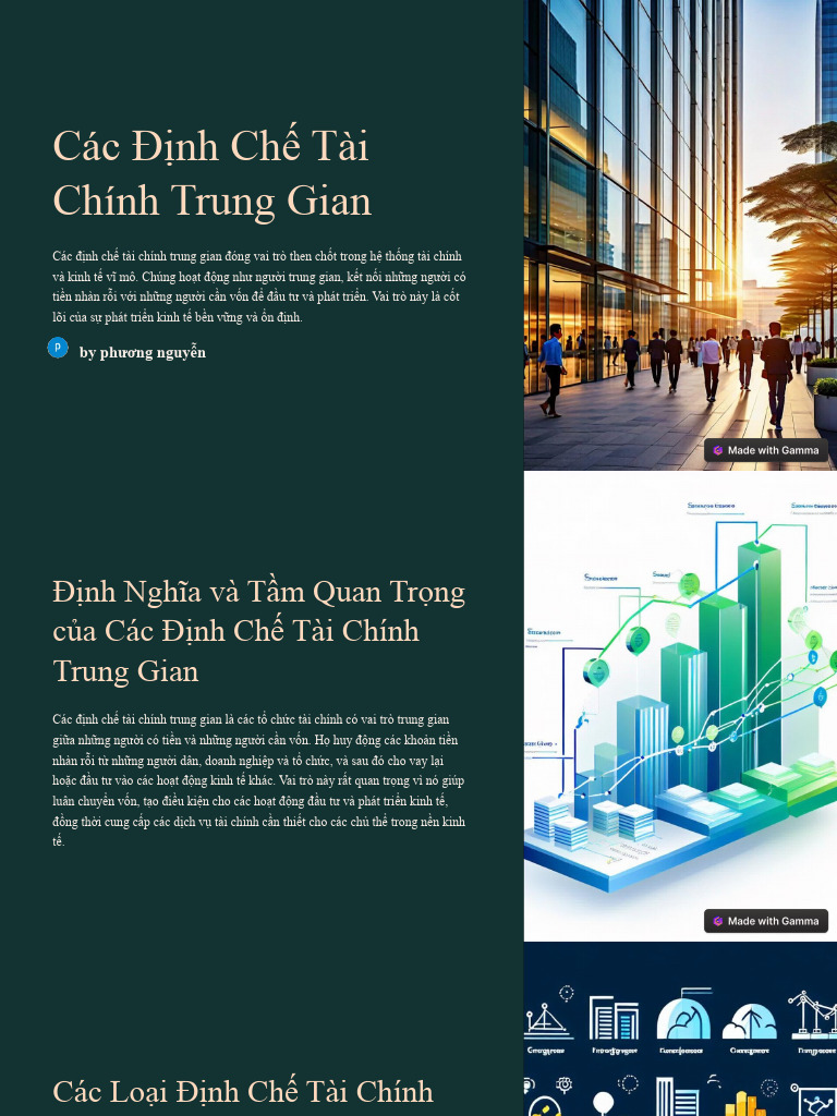 Cac DJinh Che Tai Chinh Trung Gian | PDF