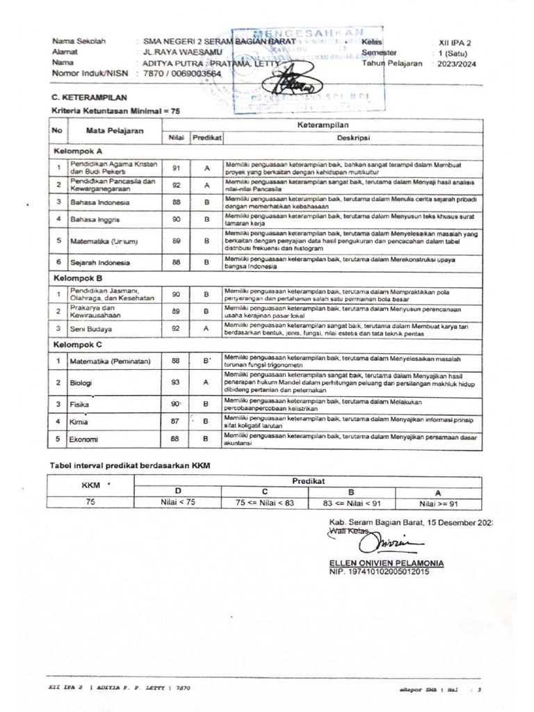 Raport SMA ADIT - Compressed | PDF