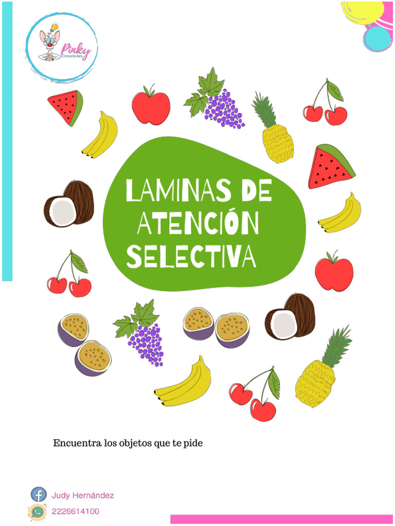 Atencion Selectiva | PDF