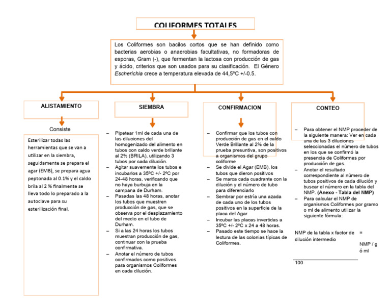 Mapa Conceptual Coliformes Totales | PDF | Microorganismo | Organismos