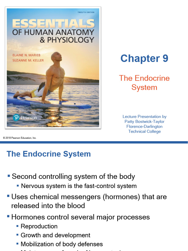 CHAPTER 9 Endocrine System | PDF | Adrenal Gland | Pituitary Gland