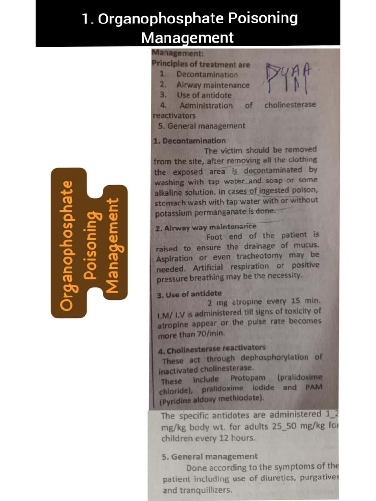 ANS pharma__Extra things | PDF