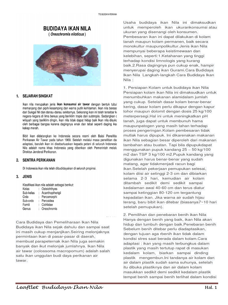 CONTOH LEAFLET PERIKANAN | PDF