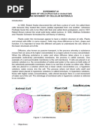 osmosis_red_onion_cells | PDF | Osmosis | Biology