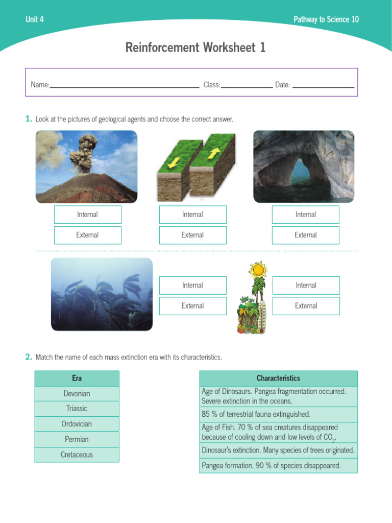 Geological Agents and Mass Extinctions Worksheet | PDF | Paleontology ...