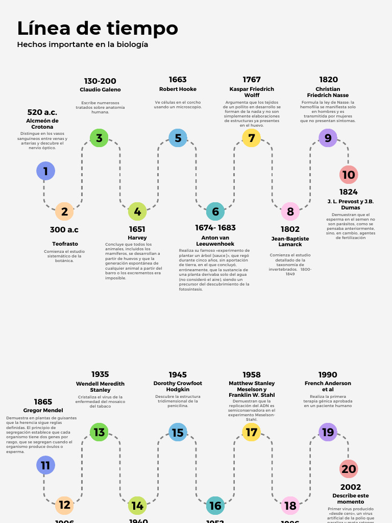 Gráfico de Línea de Tiempo Timeline Flujo Progreso de Proyecto o Empresa Hi - 20240409 - 115220 ...