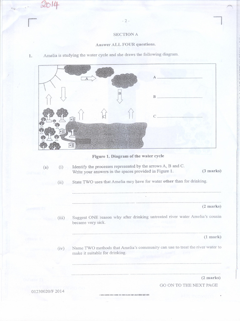 CSEC Integrated Science 2014 Paper 2 | PDF