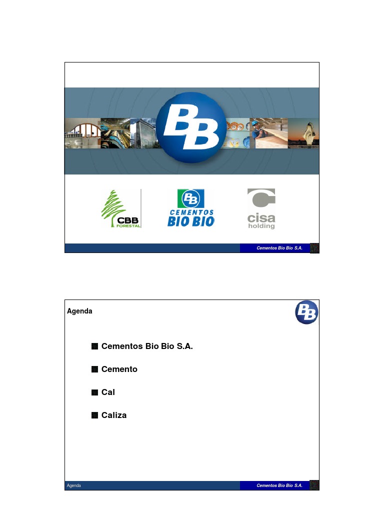 Cementos Bio Bio: Historia y Diversificación | PDF | America latina ...