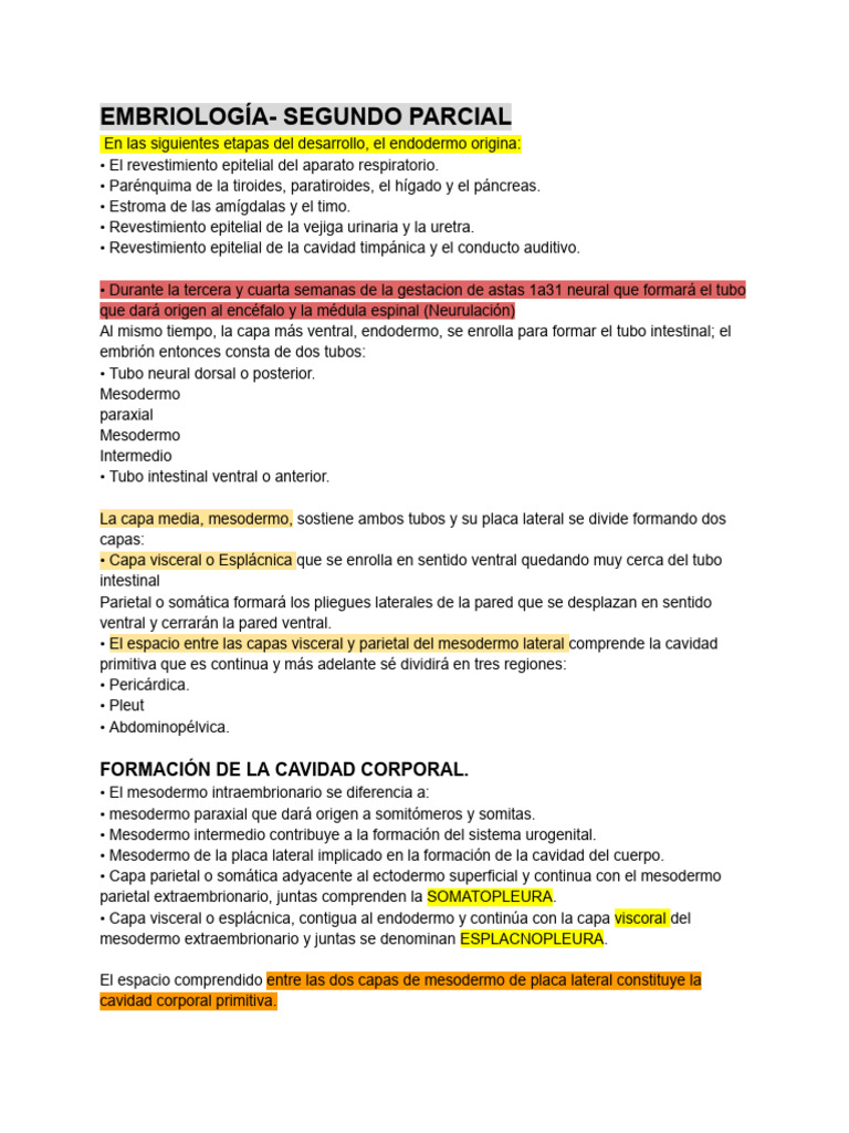 Embriología - Segundo Parcial | PDF | Placenta | Feto