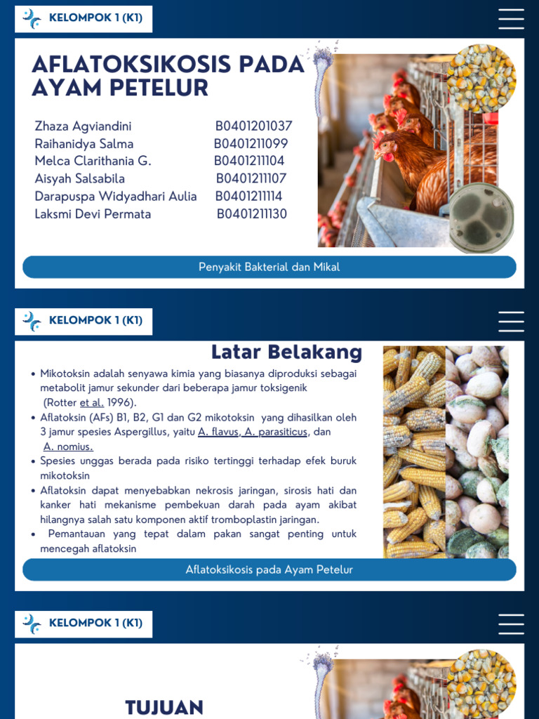 K1 - Aflatoksikosis PBL Minggu Ke-14 - Kelompok 1 2 | PDF