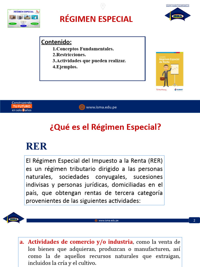 TEMA_8_RER_2024 | PDF | Impuestos | Impuesto sobre la renta