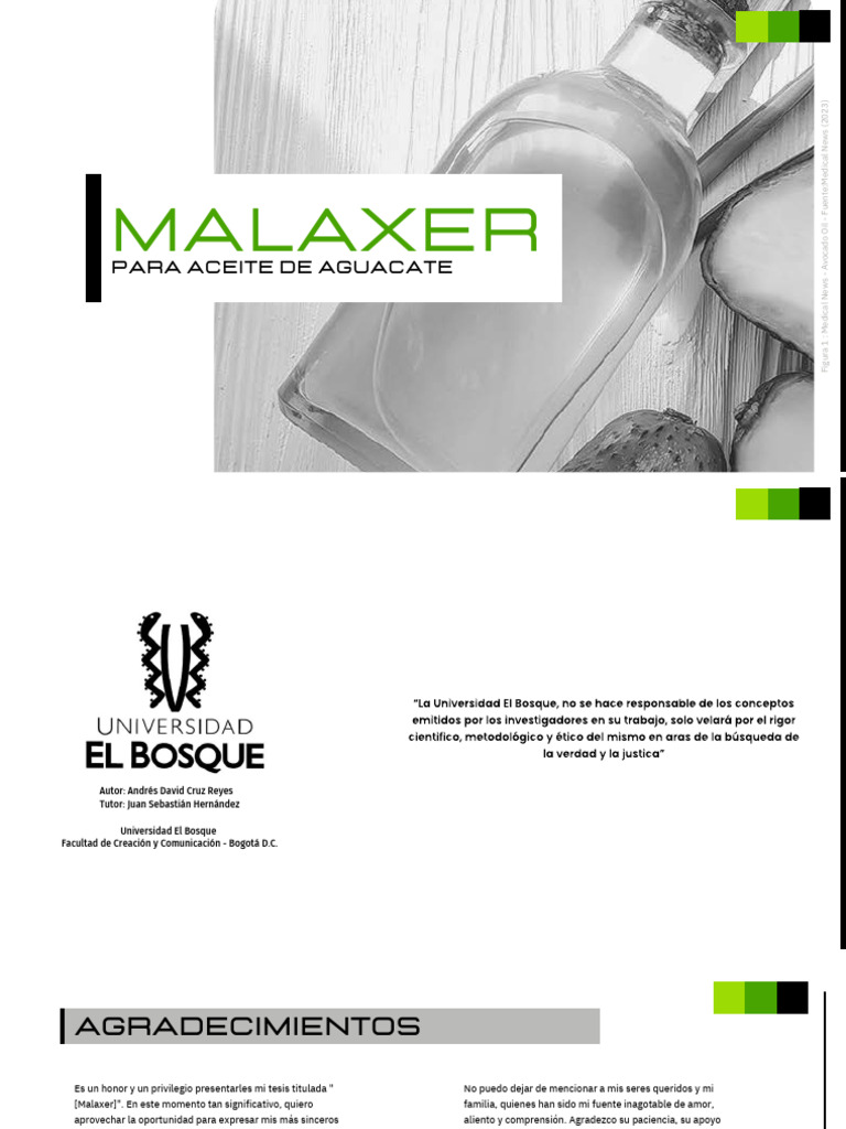 Diseño de Malaxer para Aceite de Aguacate | PDF | Diseño | Acero
