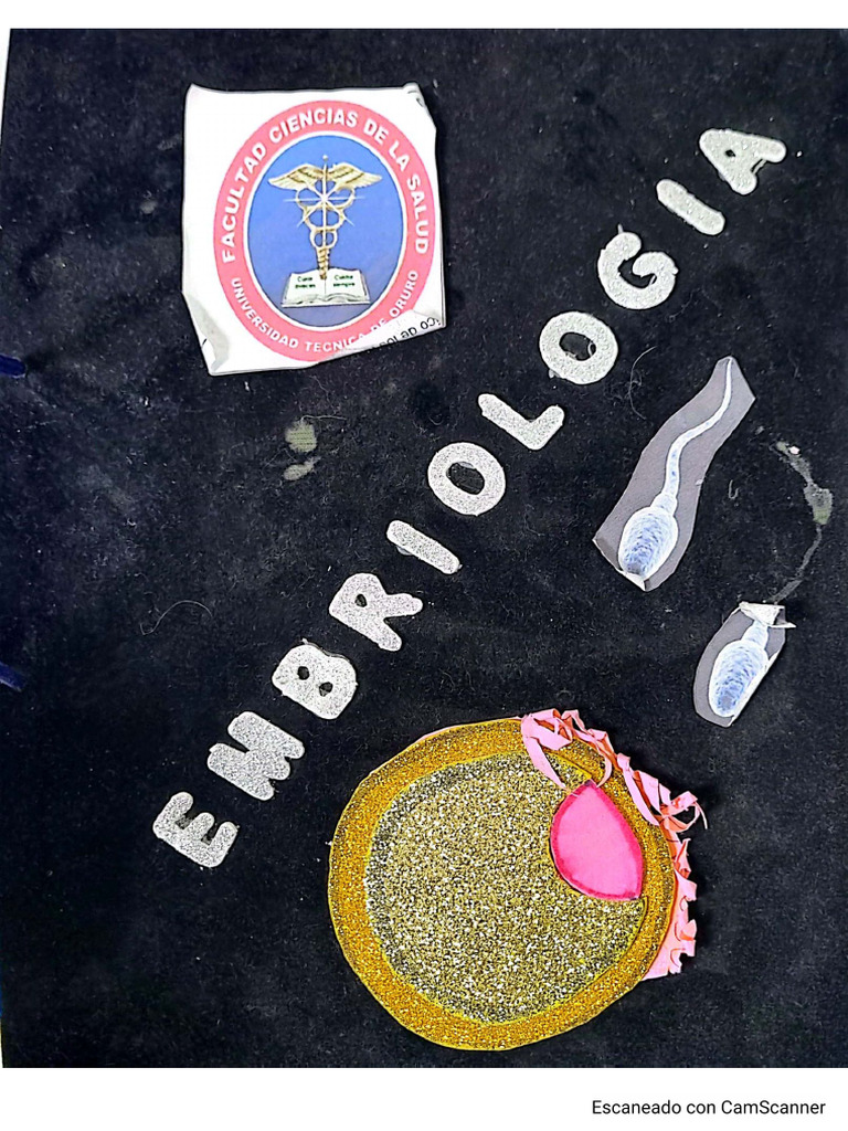 Álbum Embrio Ejem C.S. | PDF