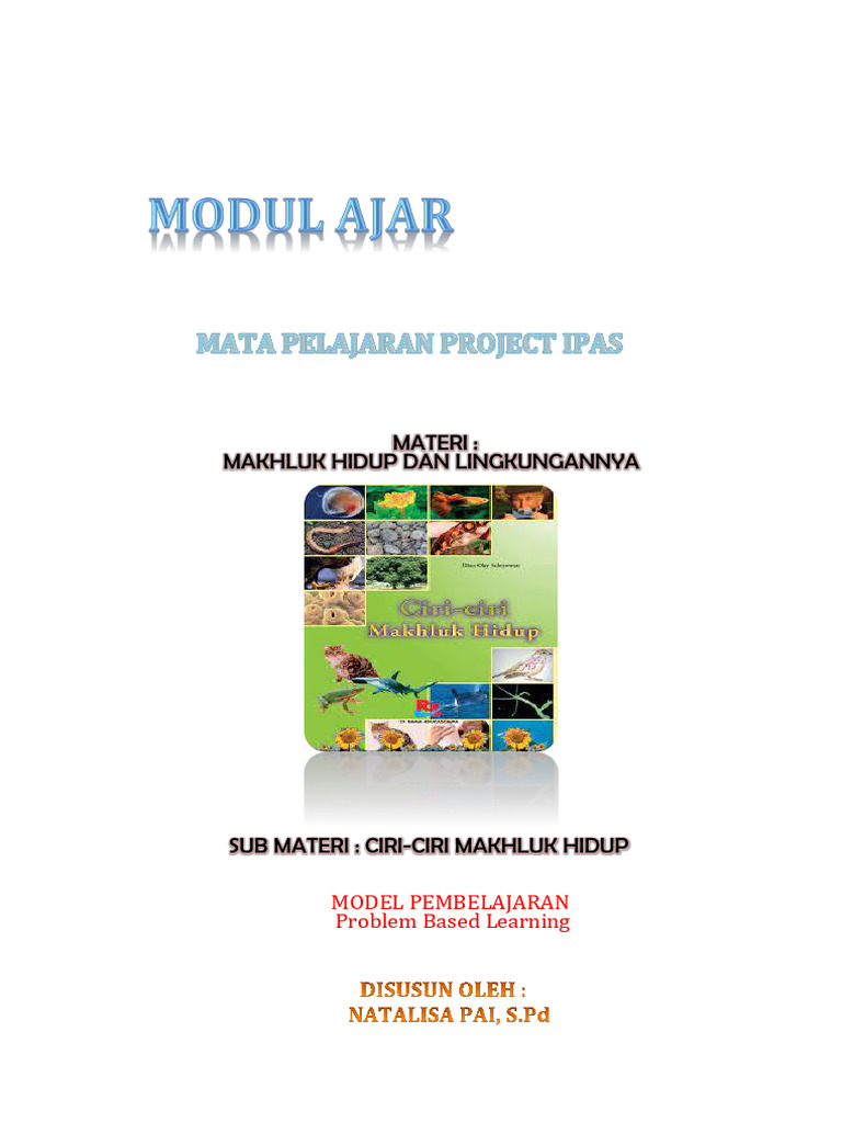 Modul Natalisa Pai Ciri-Ciri MH (PMM) | PDF | Sains & Matematika