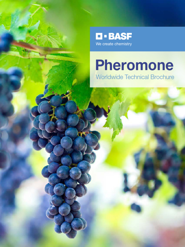 BASF_Pheromone_Brochure | PDF | Toxicity | Pest Control