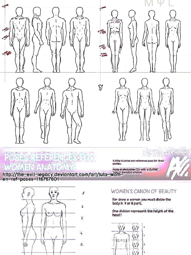 Drawing Body Reference | PDF