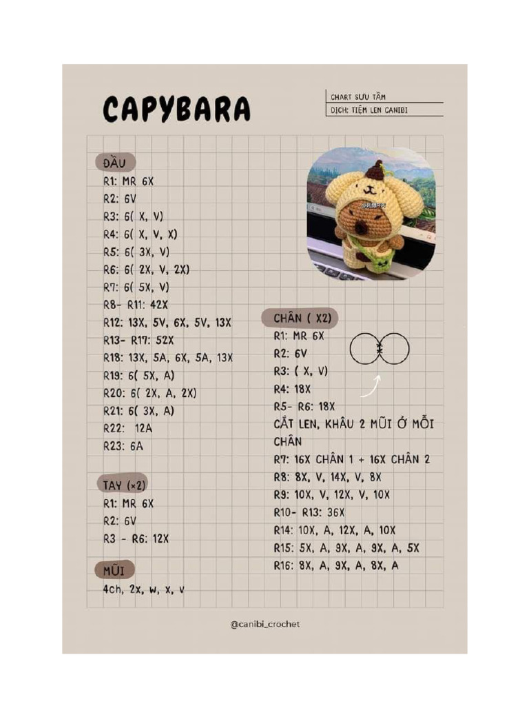 Capybara | PDF
