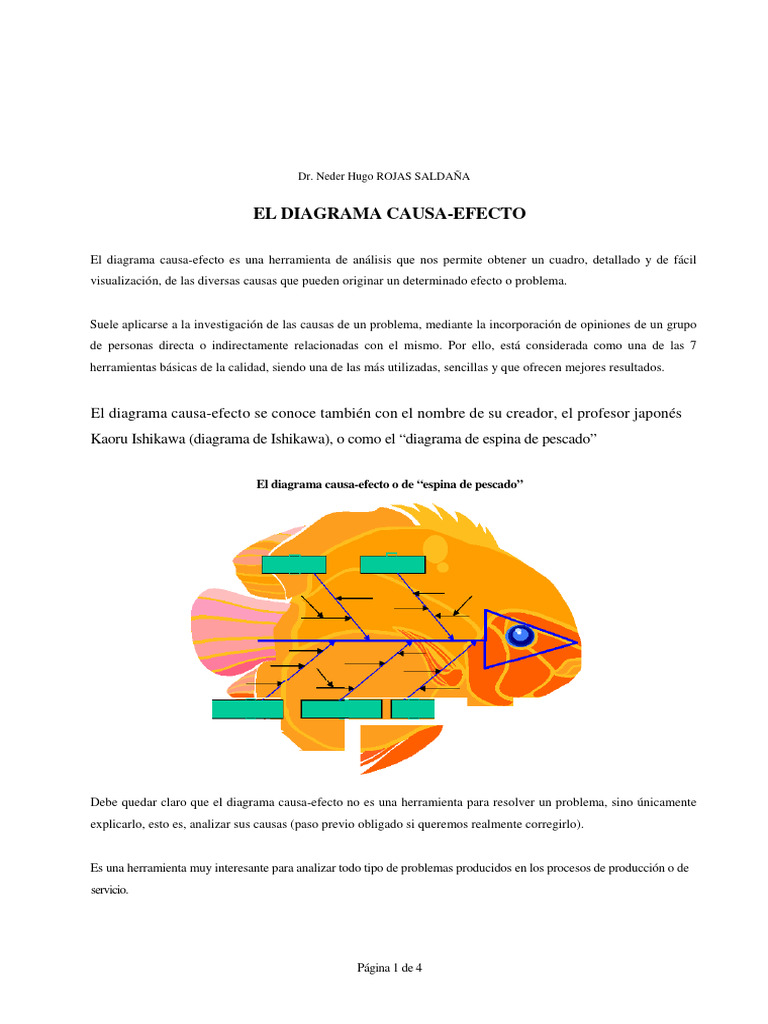 Definición del Diagrama Causa-Efecto | PDF