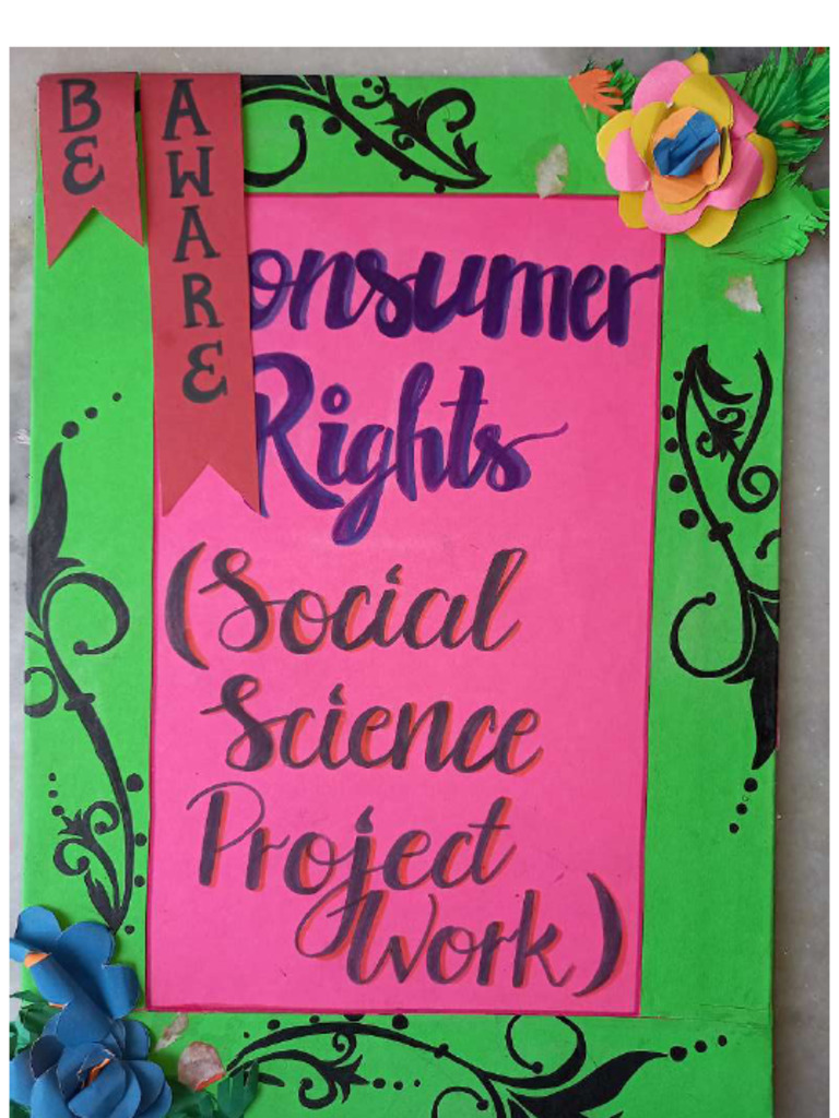 Consumer Project | PDF