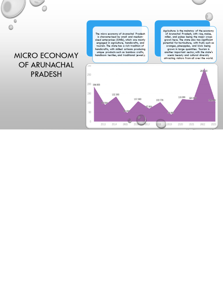 Arunachal Pradesh's Micro Economy Overview | PDF | Social Science