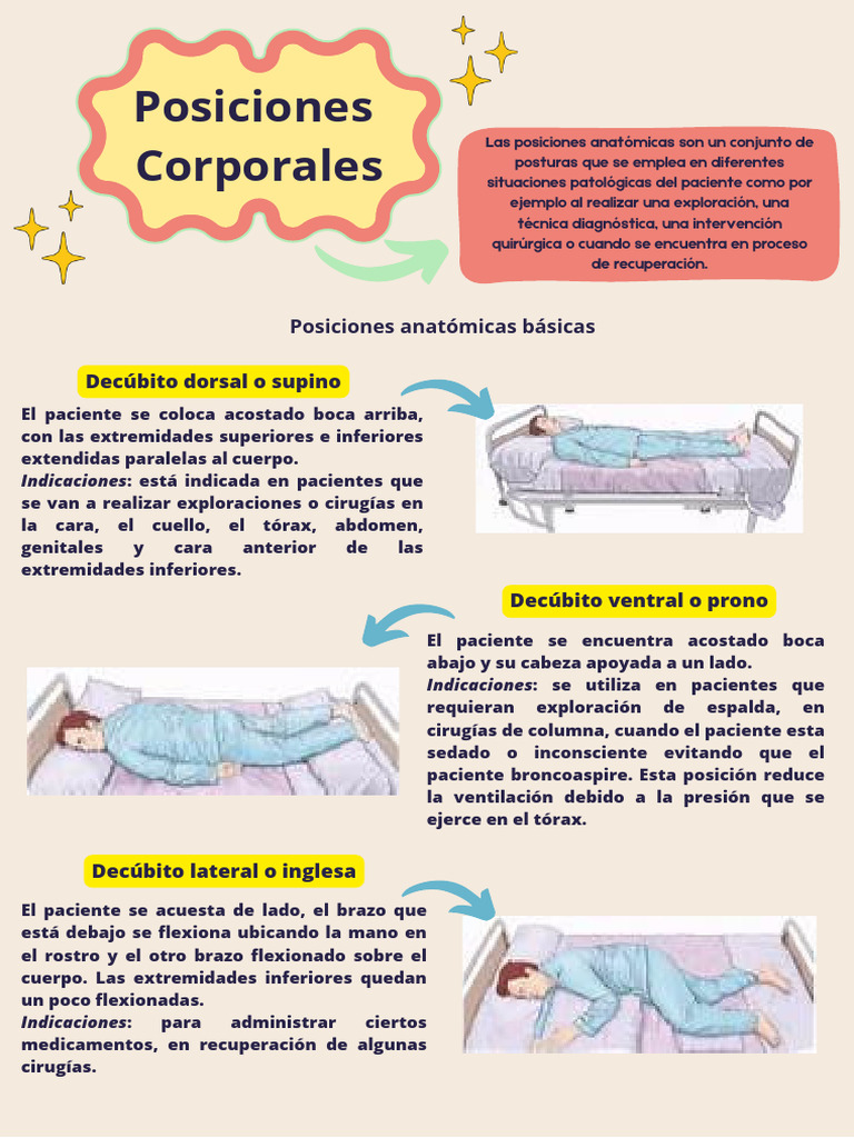 Posiciones y Planos Corporales - Lady Quito | Descargar gratis PDF | Pelvis | Términos ...