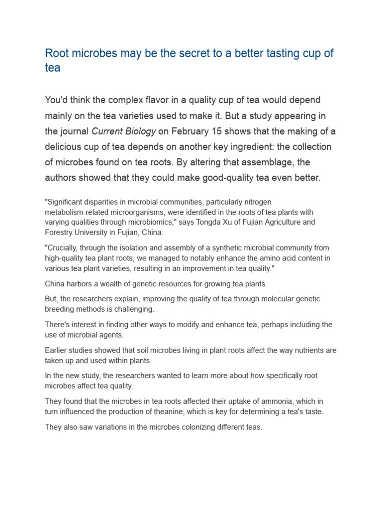 Root Microbes May Be Secret To Make A Better Tasting For A Cup of Tea ...