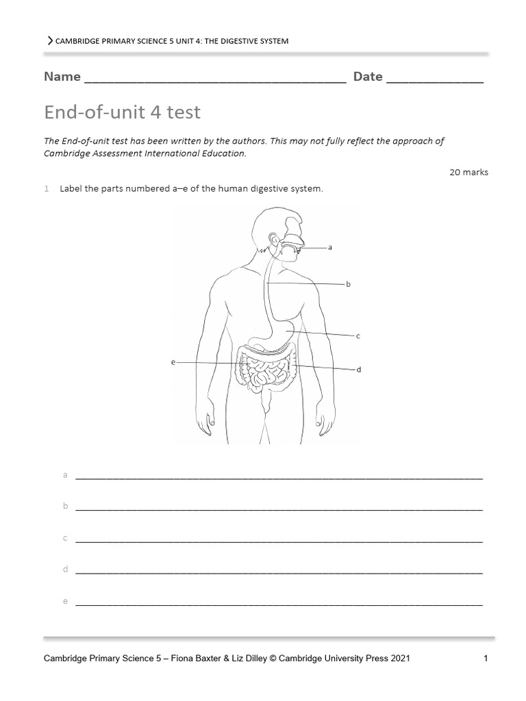 Science Stage 5 End-Of-Unit 4 | PDF | Digestion | Foods